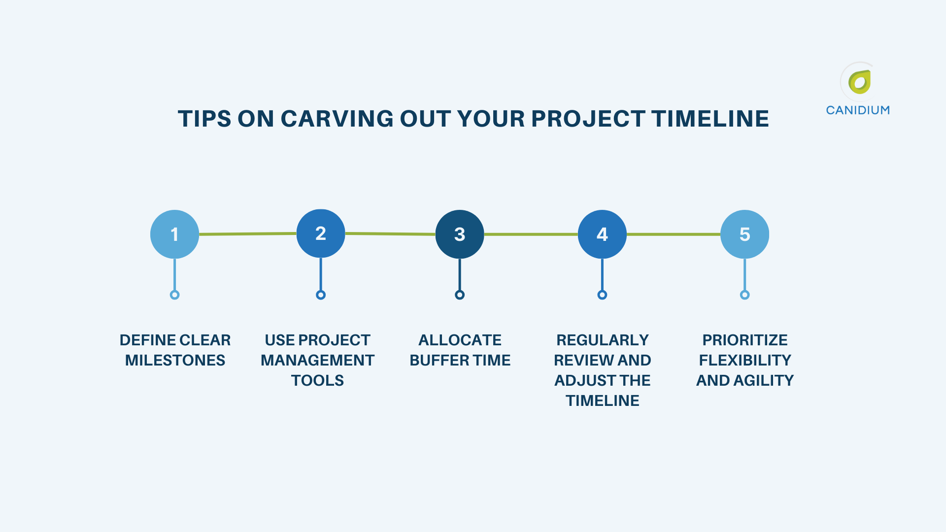 Managing Successful Projects: How to Coordinate Your Team, Resources ...