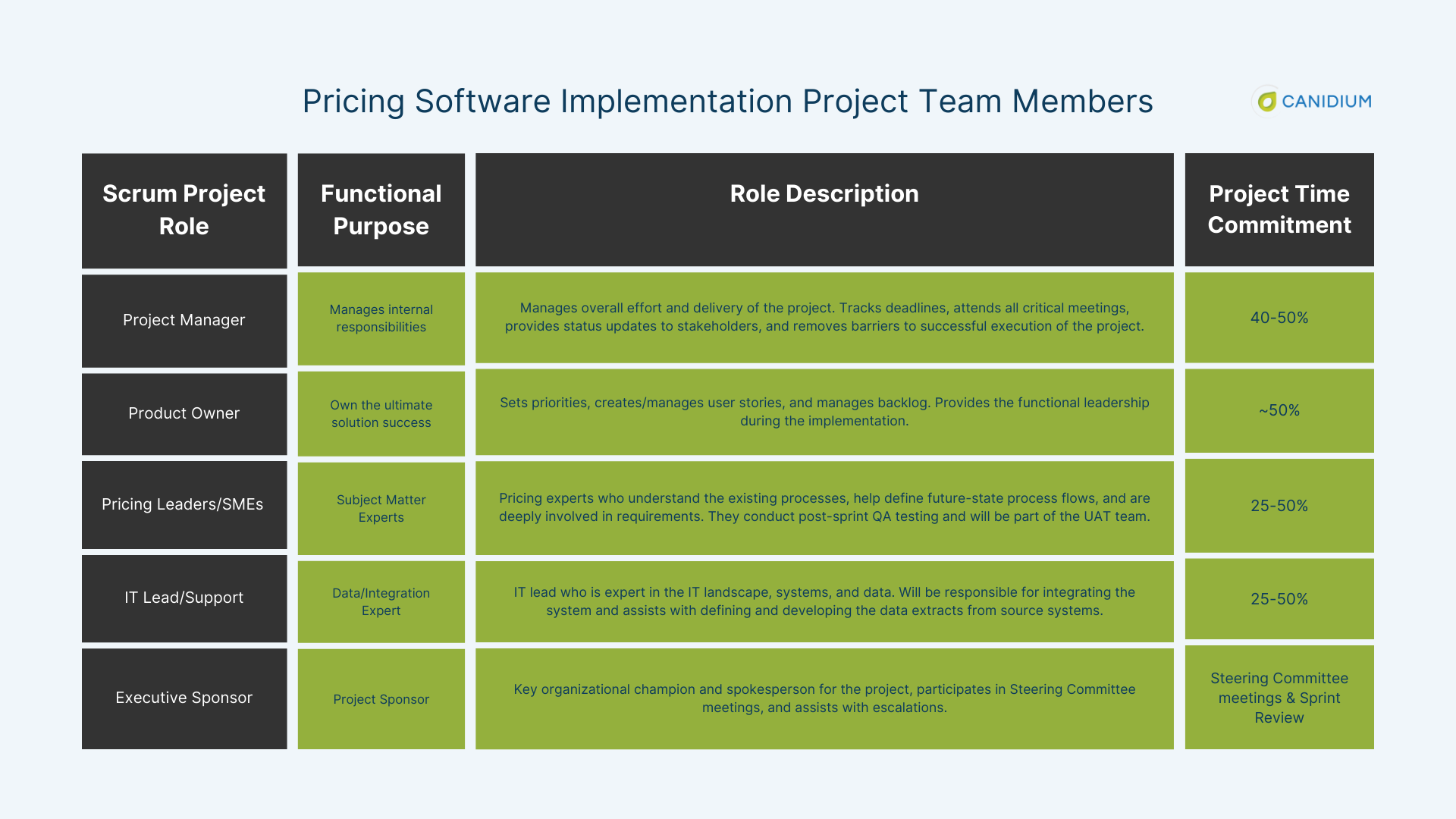 How to Make Your Pricing Software Project Successful