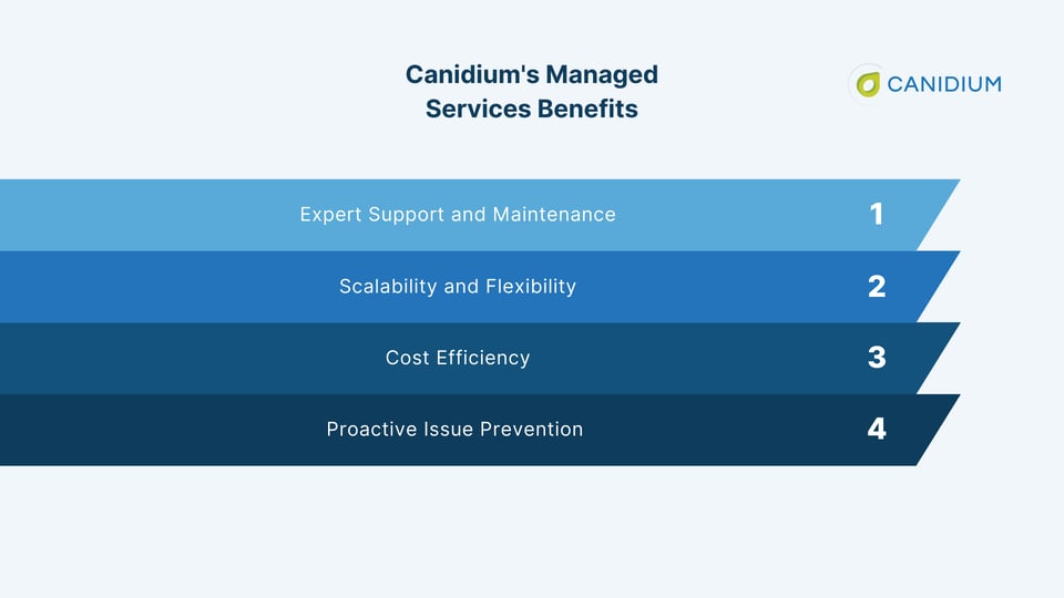 Managed Services: What They Are, When to Use Them, and How to Avoid ...