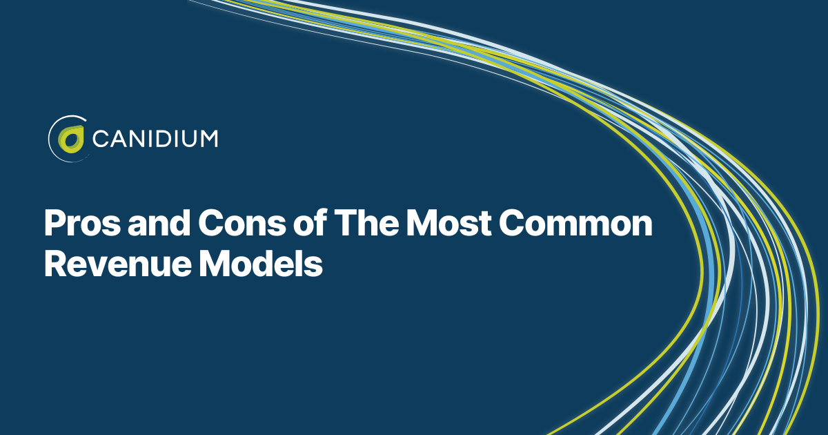 Pros and Cons of The Most Common Revenue Models
