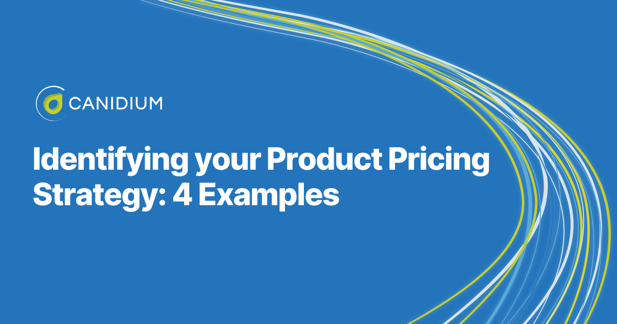 Identifying your Product Pricing Strategy: 4 Examples
